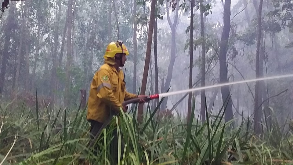 Son tres los focos activos en el Delta y se los combate por tierra y ...