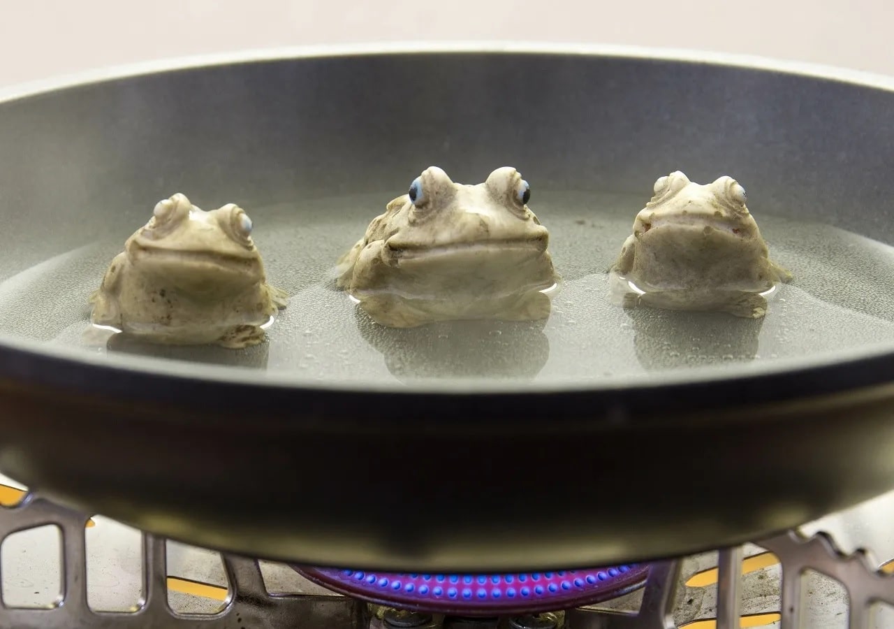 Como sapos en la olla – Paralelo32