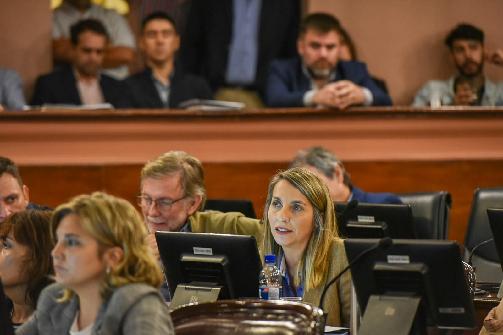 El justicialismo advirtió sobre el aspecto discrecional de las leyes de ...