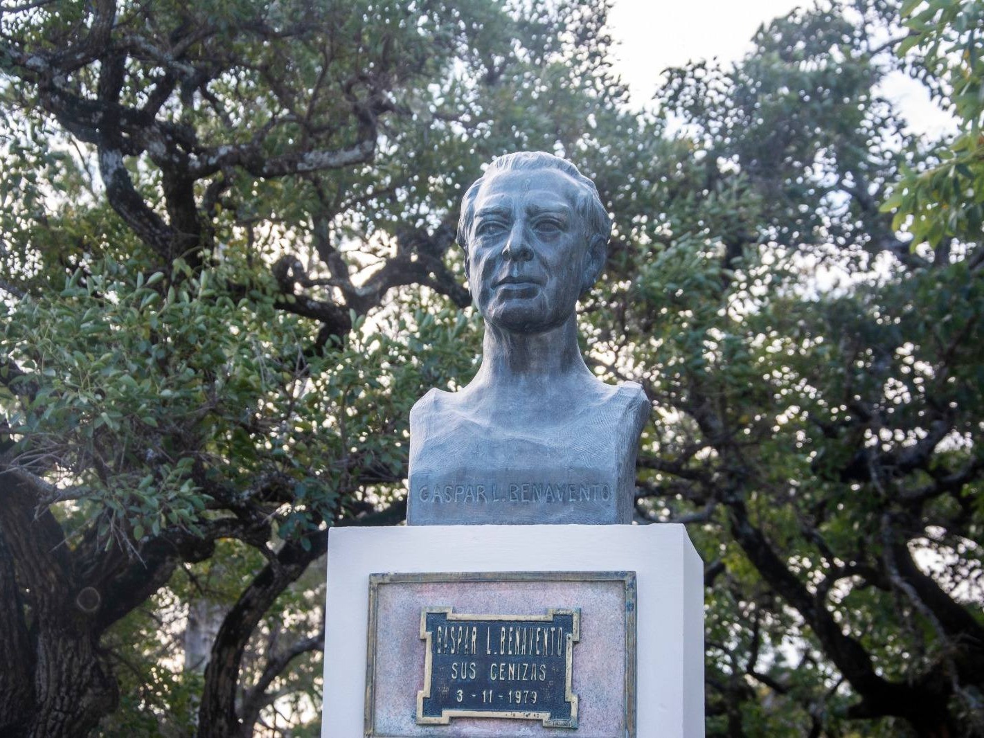 Victoria celebró la literatura local con una jornada cultural en la ...
